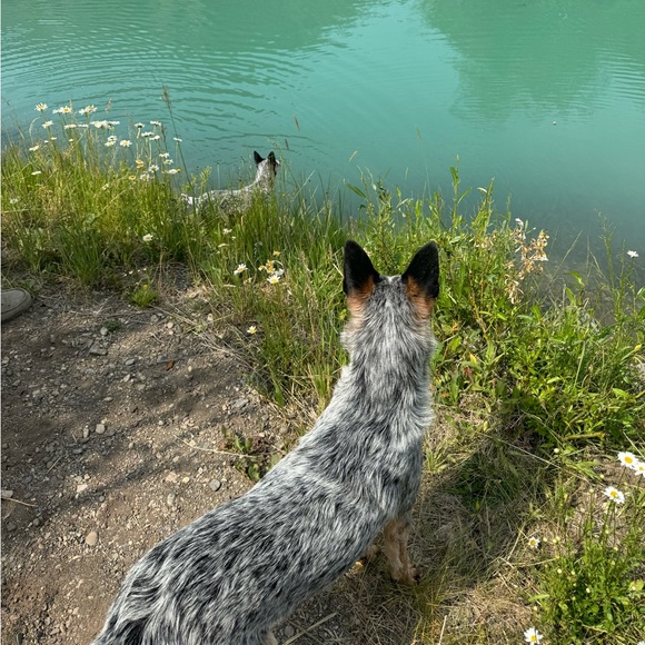 Ellie's Closet (@ellieraney9) | Poshmark